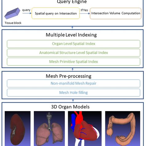 Framework Of 3d Tissue Block Registration Download Scientific Diagram