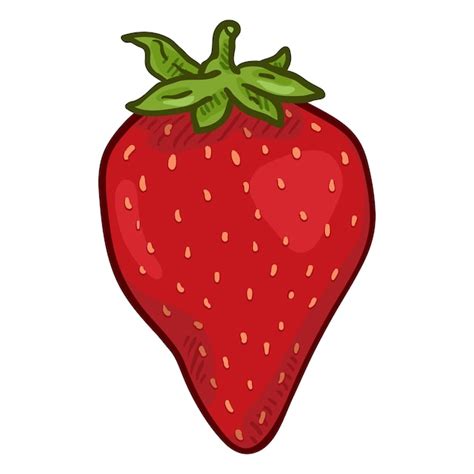 Vektor Karikatur Rote Erdbeere Premium Vektor