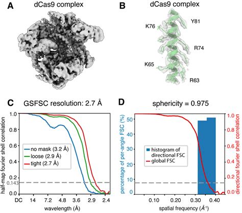 Application Of Monolayer Graphene To Cryo Electron Microscopy Grids For High Resolution