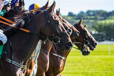 幸英明の年収と獲得賞金、これまでの活躍と結婚・家族についても紹介 みんなの競馬検証
