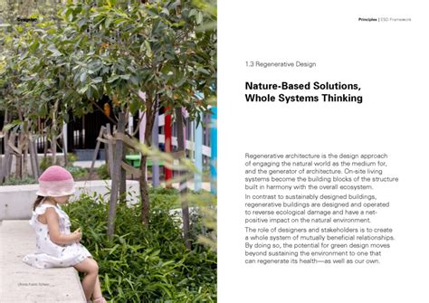 Design For People Place And Planet—introducing Our Esd Framework