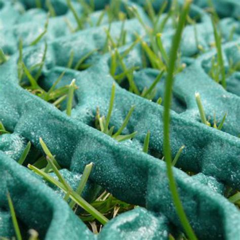Grass Protecta David Turf