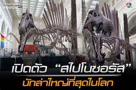 ข่าวเปิดตัวโครงกระดูกไดโนเสาร์นักล่าที่ได้ชื่อว่าใหญ่ที่สุดในโลก “สไปโน