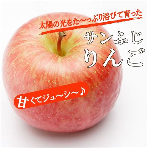 予約 送料無料 たっぷり てんこ盛り 約10kg 山形県産 訳あり サンふじ りんご 約10kg 3980円 簡易梱包茶箱 りんごリンゴ