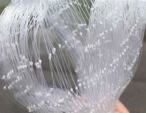 ยาว10เมตร ตาข่ายกันนก สีใส ไม่ทึบ ไม่ขุ่น แบ่งขาย มีขนาดกว้าง1m 2m 3m ขนาดตาประมาณ 2cm ตา