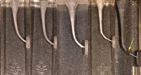 Experience 2 Instrumentation On Endo Training Blocks Dentsply