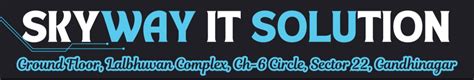 Skyway It Solution Linkedin
