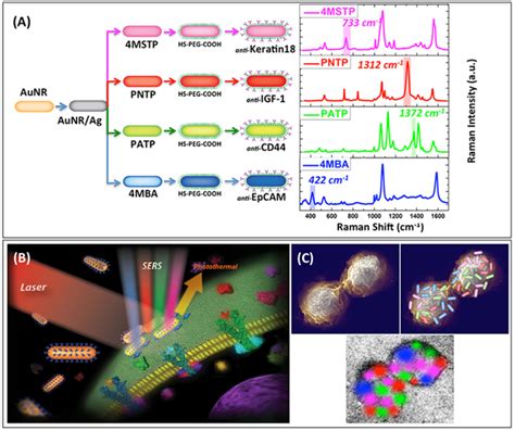 A Schematic Diagram Preparation Steps And Raman Spectra