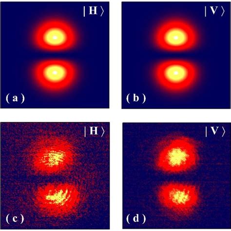 Intensity Of The Cross Polarized Components Of The Beam Tunneling Download Scientific Diagram