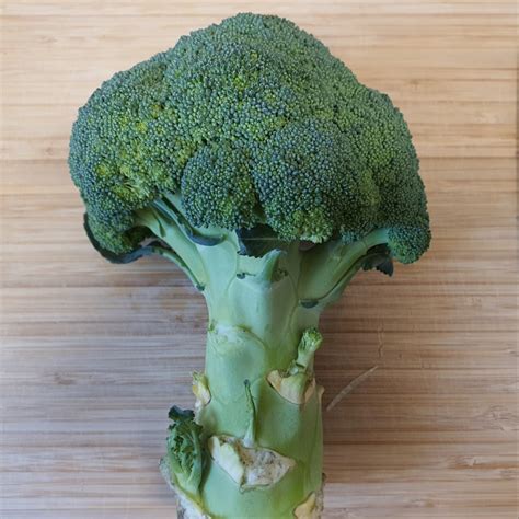브로콜리 세척 방법과 데치는 시간은