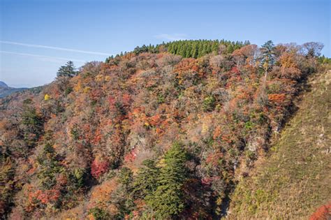 구주 산 일본에 보도 대 한 가장 높은 현수교 9에 대한 스톡 사진 및 기타 이미지 Istock