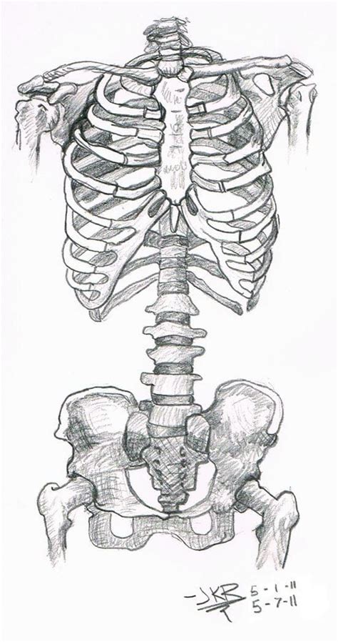 Best 13 How To Draw A Skeleton Everyday Objects Step By Step Artofit