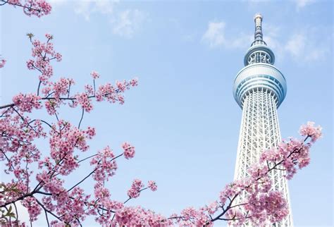 10 】 Arquitectos Japoneses Famosos Y Sus Obras ⛩️