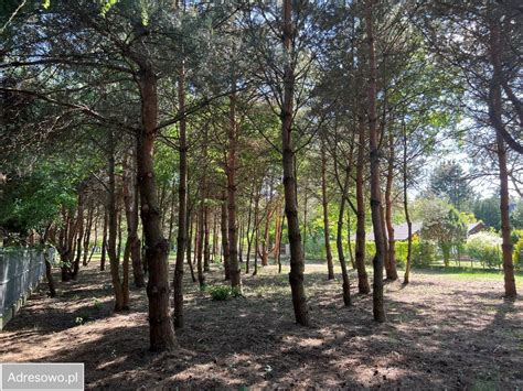 Działka Gorzewo Bez Pośrednika 1500 M²