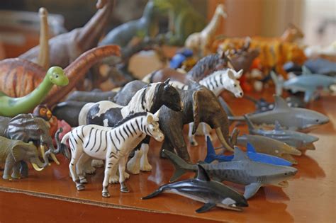 Creative Teaching Tips For Cambridge Igcse™ Combined And Co Ordinated