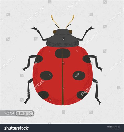 Lady Bug Over 17454 Royalty Free Licensable Stock Vectors And Vector