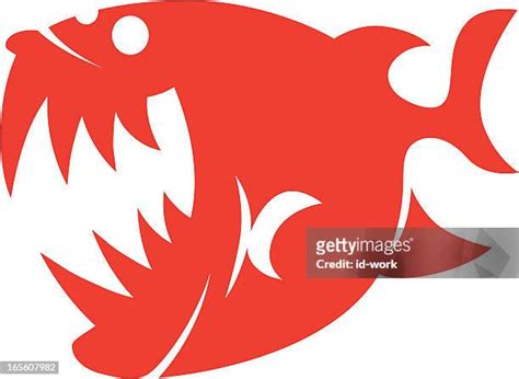 Real Piranha Attack