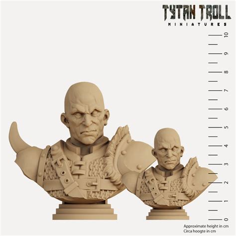 Izek Curse Of Strahd 3d Printed Bust — Empire Of Minis