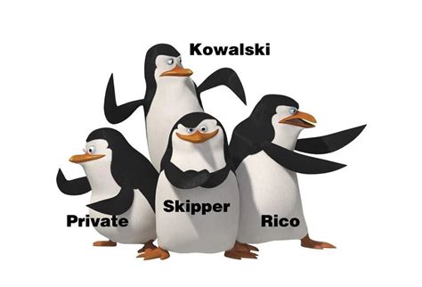 Private Skipper Rico Kowalski Penguins Of Madagascar Photo Hot Sex