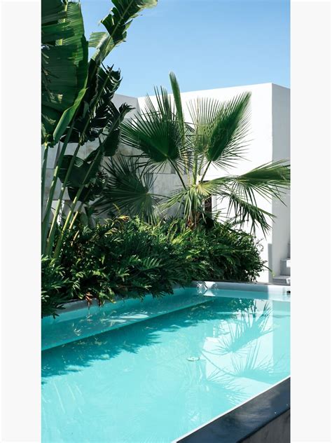 Tropical Palm Tree Pool Miami Florida Vacation Sticker For Sale
