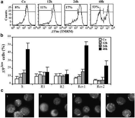 Mitochondrial Response To Oxaliplatin In Resistant And Susceptible