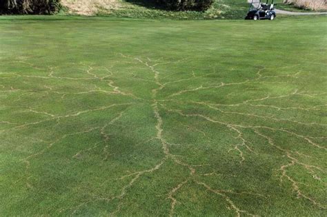 Grass After Being Struck By Lightning At Golf Course R Beamazed