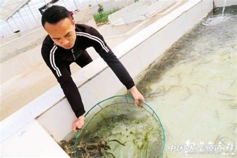 泥鳅池的建造图在家 泥鳅池的建造图 第2页 大山谷图库