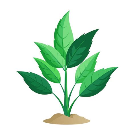 Uma Planta Com Folhas Verdes Que Está Crescendo Da Terra Vetor