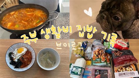 일주일 생활비 50만원 초과🤦🏼‍♀️ • 간단 소소 집밥들🍳 • 로켓프레시 장보기 • 4인가족 반려견 • 주부 일상 살림 Vlog Youtube