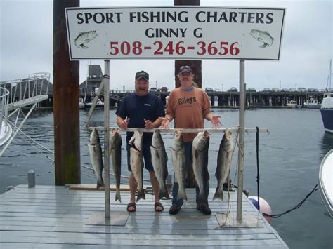 Provincetown Sportfishing Spring 2013 Ginny G Cape Cod Fishing Charters