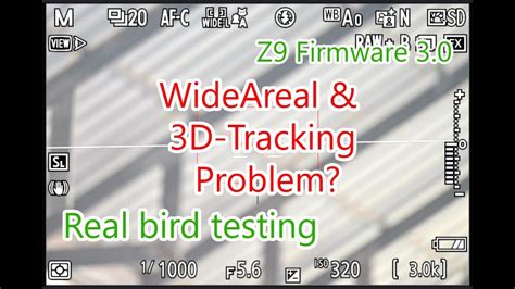 NIkon Z Firmware Bird AF And Tracking With D Tracking Wide Area AF Problem YouTube