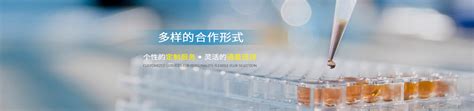 蛋白激酶的生化活性检测方法（1） 知乎
