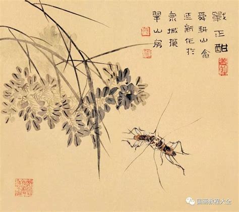 蛐蛐图片工笔画 蛐蛐图片简笔画 蛐蛐图片叫声 第3页 大山谷图库