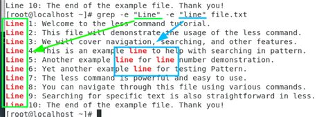 Day 4 Managing Users Groups And File Permissions In Linux By