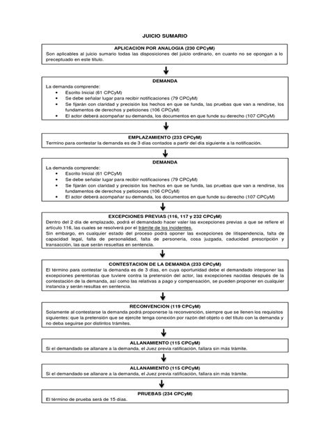 1 Esquema Juicio Sumario Demanda Judicial Sentencia Ley