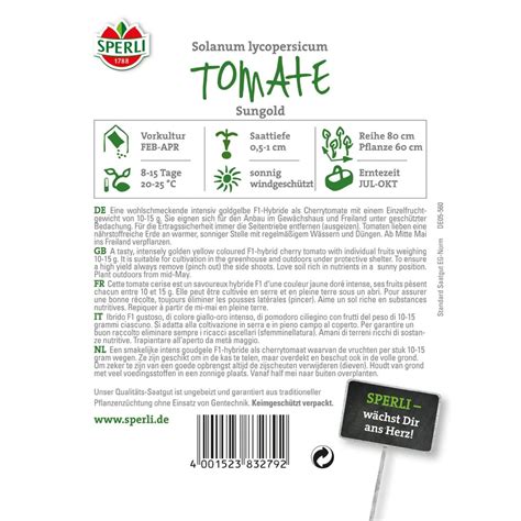 Tomate Cherry Tomate Sungold F1 Von Sperli Saatgut Shopping