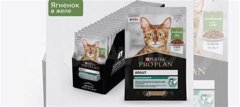 Корм для кошек купить в Санкт-Петербурге | Животные и зоотовары | Авито