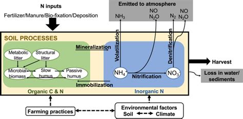 采用碳修正的美国农业土壤活性氮排放的农业生态系统模型biochar X Mol