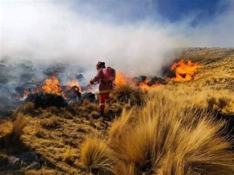 Estudio Del Igp Propone Gestionar Uso Del Fuego Para Prevenir Incendios