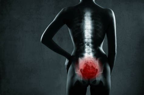 Understanding The Pelvic Floor Muscles And Pelvic Pain Somatic