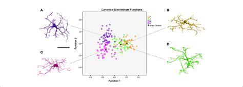 Graphical Representation Of The Canonical Discriminant Function