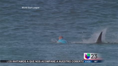 Tiburón Ataca A Surfista En Plena Competencia Noticias Univision