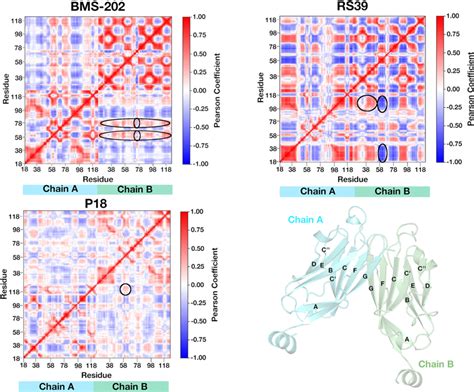 Cross Correlation Matrix Built Considering C α Atoms For The Three