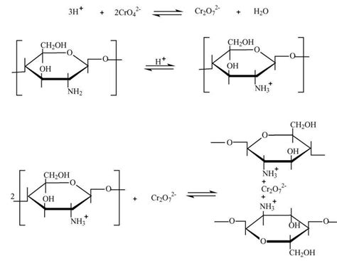 Sorption Of Crvi On Amine Functional Groups Of The