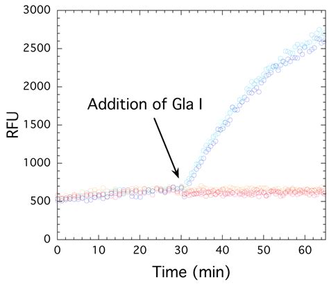 Continuous Fluorescence Based Endonuclease Coupled Dna Methylation Assay To Screen For Dna