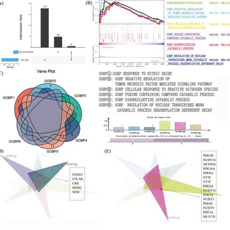Gsea Analysis Of Usc Dataset And Colorectal Cancer Crc Drug