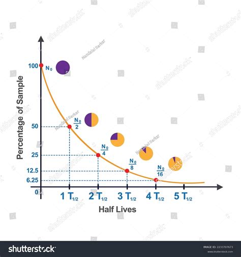 Half Life Graph