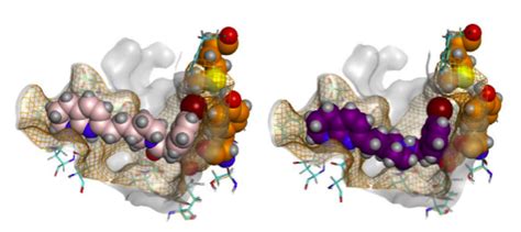 Publications The Murphy Group