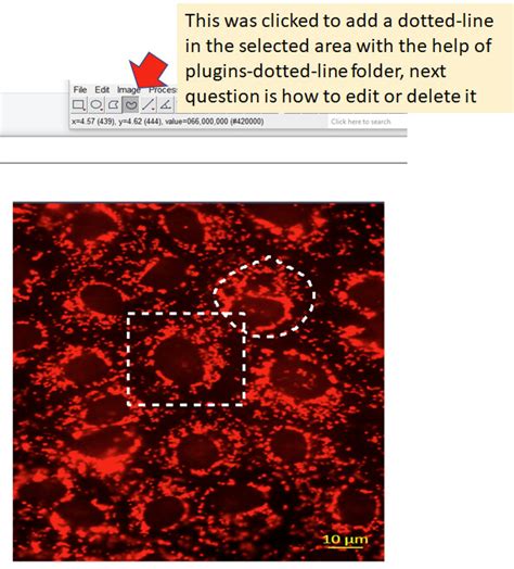 How To Outline Cells With A Dotted Line In A Chart Page Usage Issues Image Sc Forum
