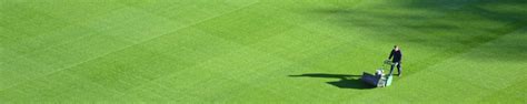 Lawncare Tips February Kingdom Mowers